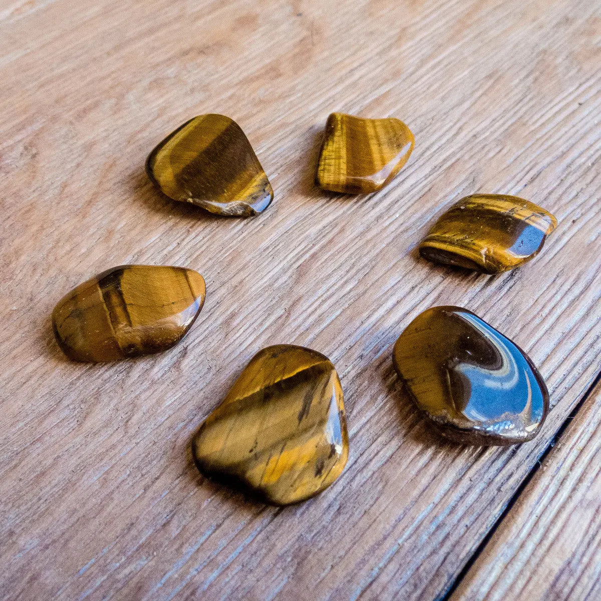 Tiger Eye - Tumbled - 6 pack - Cave & Canyon